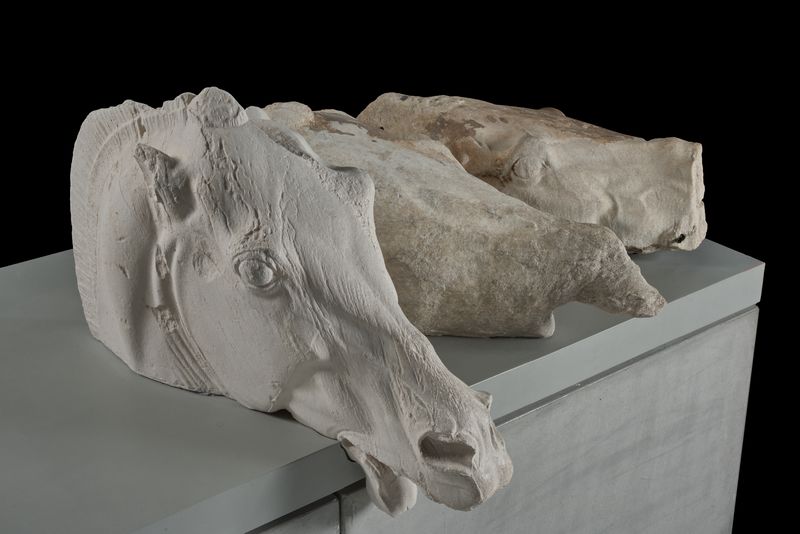 Parthenon. East pediment. Heads of horses | Acropolis Museum | Official ...